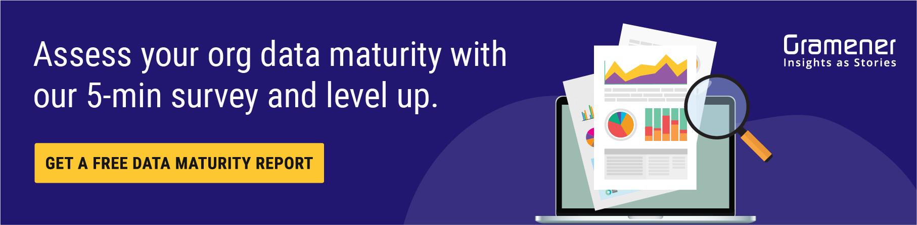 How to Move Up the Data Science Maturity Levels [Free Assessment]