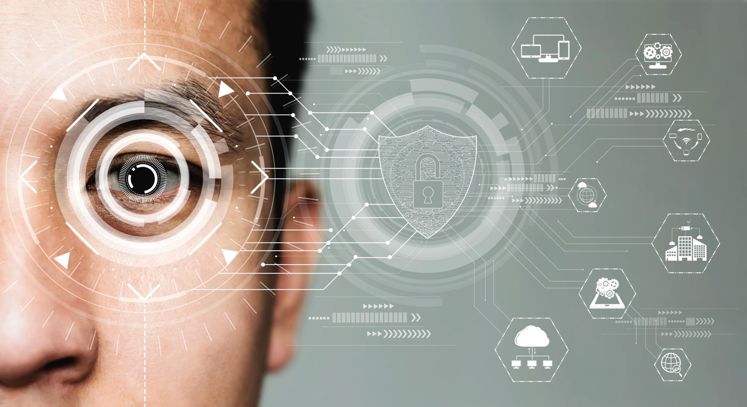 11 Best Computer Vision Examples In 2024