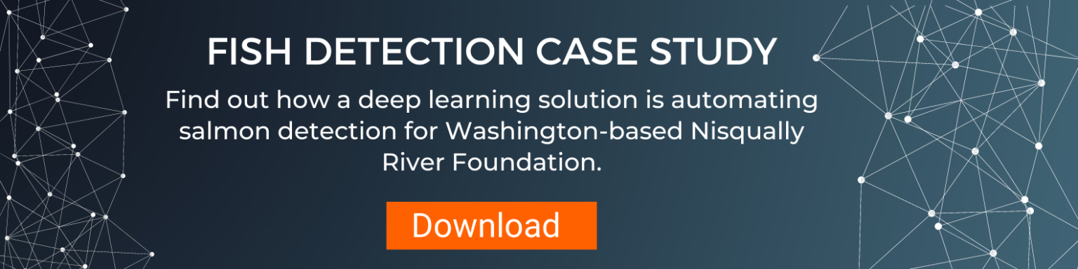 AI Fish Detection from Videos to Save Salmon Species [Real Case Study]