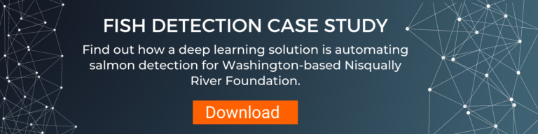 AI Fish Detection from Videos to Save Salmon Species [Real Case Study]